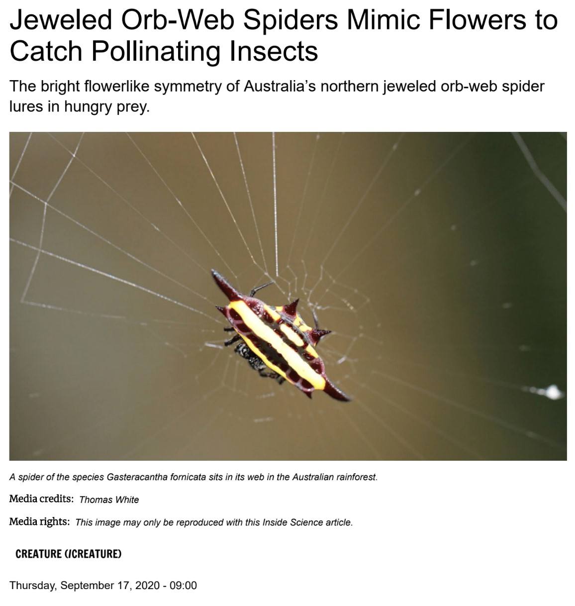 News – Veronica E. Tremblay